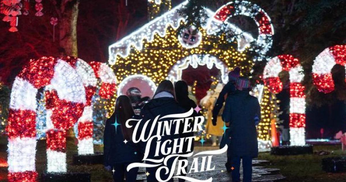 Winter Light Trail - notts.com - Nottingham Culture